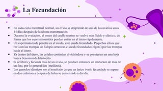 El embarazo en el Primer mes de gestación. | PDF