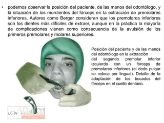 Primer premolar | PPTX