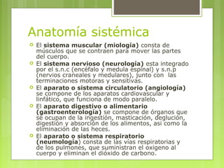 Primera clase, Anatomia general | PPT