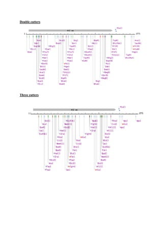 primer analysis.pdf | Genetics | Science
