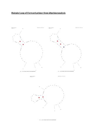 primer analysis.pdf | Genetics | Science