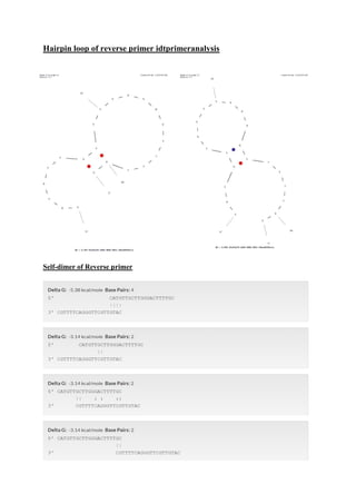 primer analysis.pdf | Genetics | Science