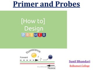 Primers and Probes | PDF