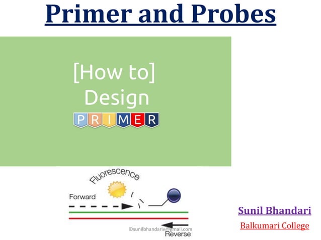 Primers and Probes | PDF | Chemistry | Science