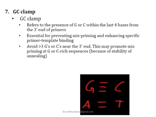 Primers and Probes | PDF | Chemistry | Science
