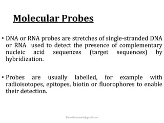 Primers and Probes | PDF