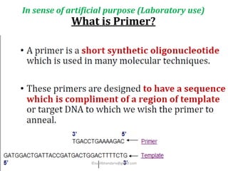 Primers and Probes | PDF