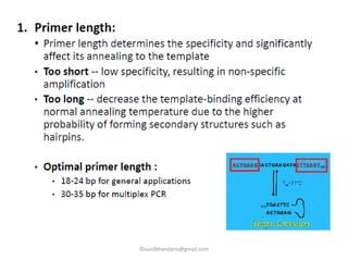 Primers and Probes | PDF
