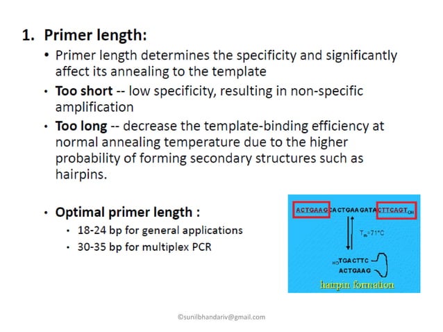 Primers and Probes | PDF | Chemistry | Science