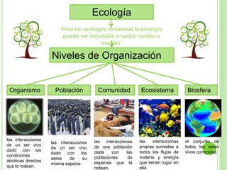 primera semana clase de ecologia general.pptx