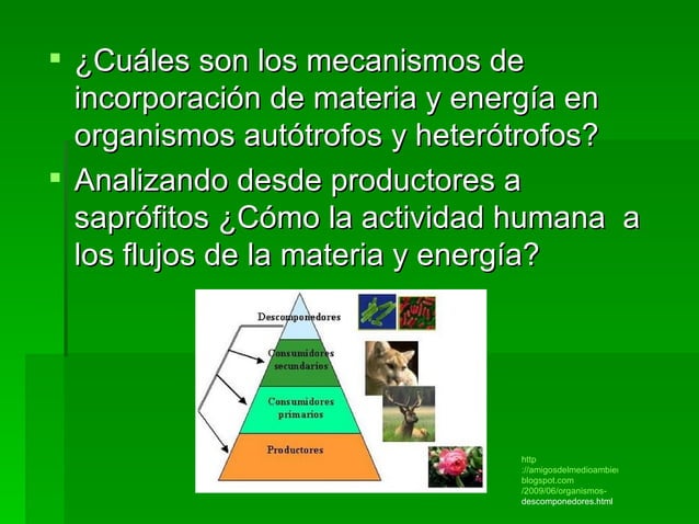 Unidad I: Organismos y Ambientes | PPT