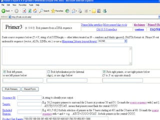 Primer Designing | PPT