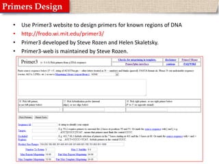 Primer design | PPT
