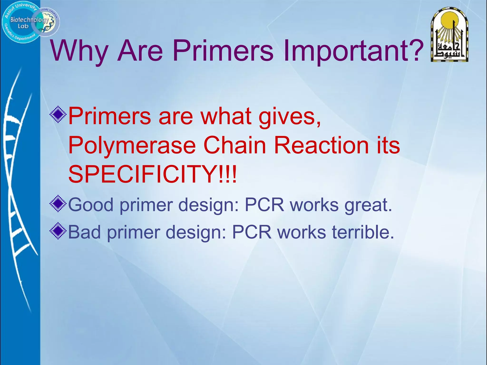 Primer design | PPT