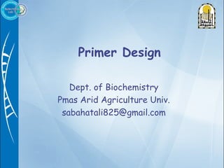 Primer design | PPT