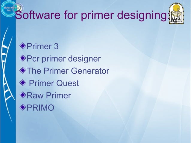 Primer design | PPT