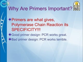 Primer design | PPT