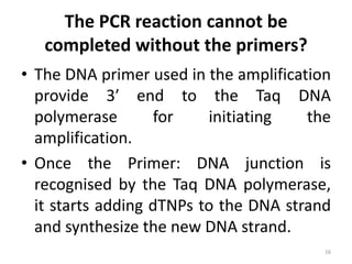 Primer design for PCR and analysis of gel picture | PDF