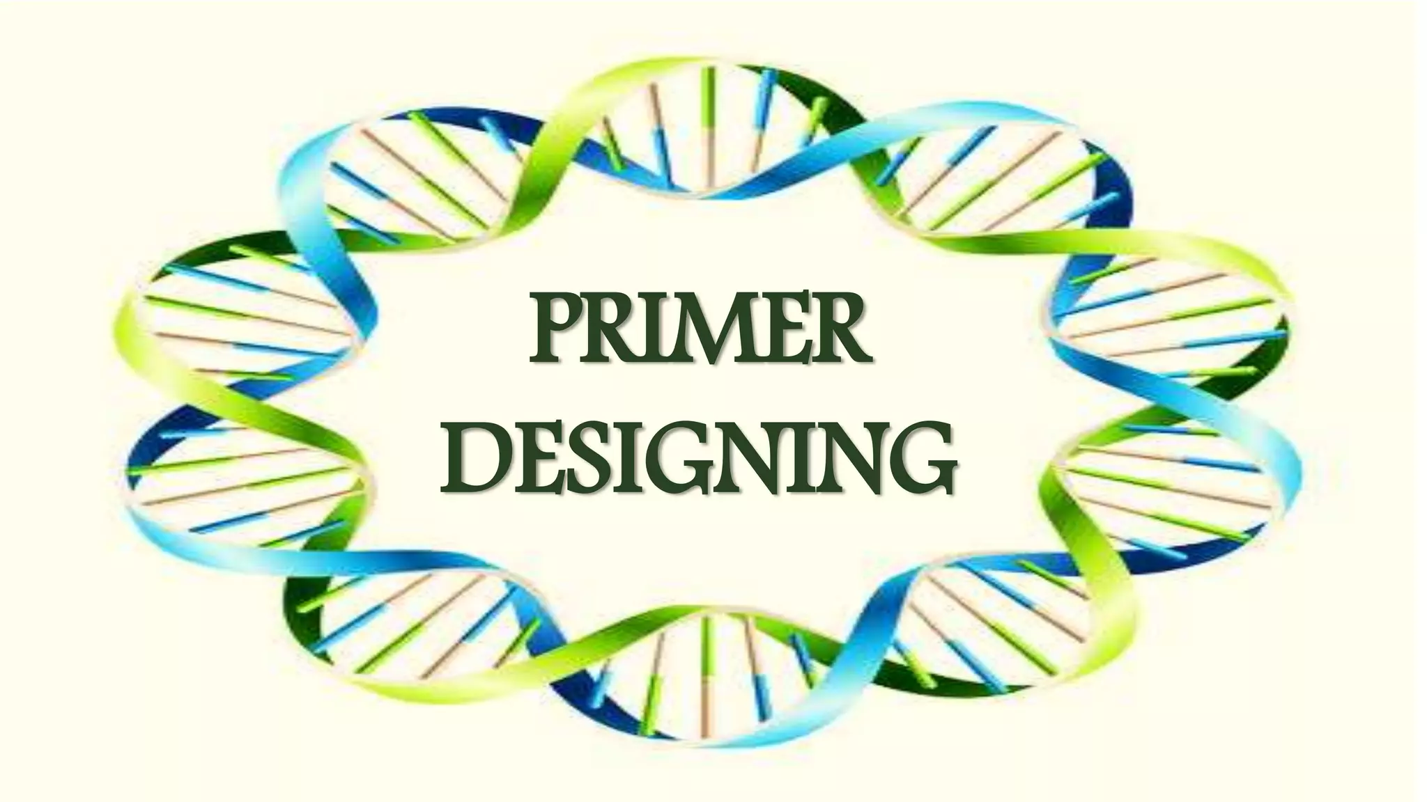 Primer designing | PPTX