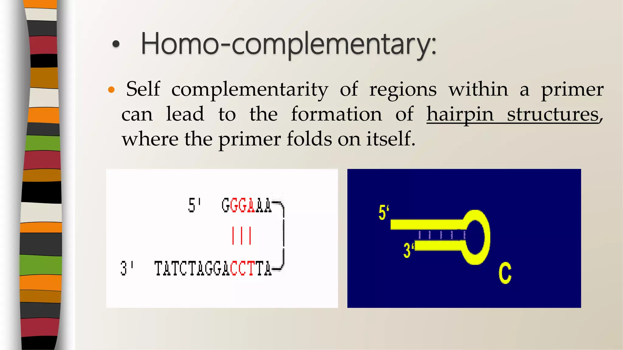 Primer designing | PPTX