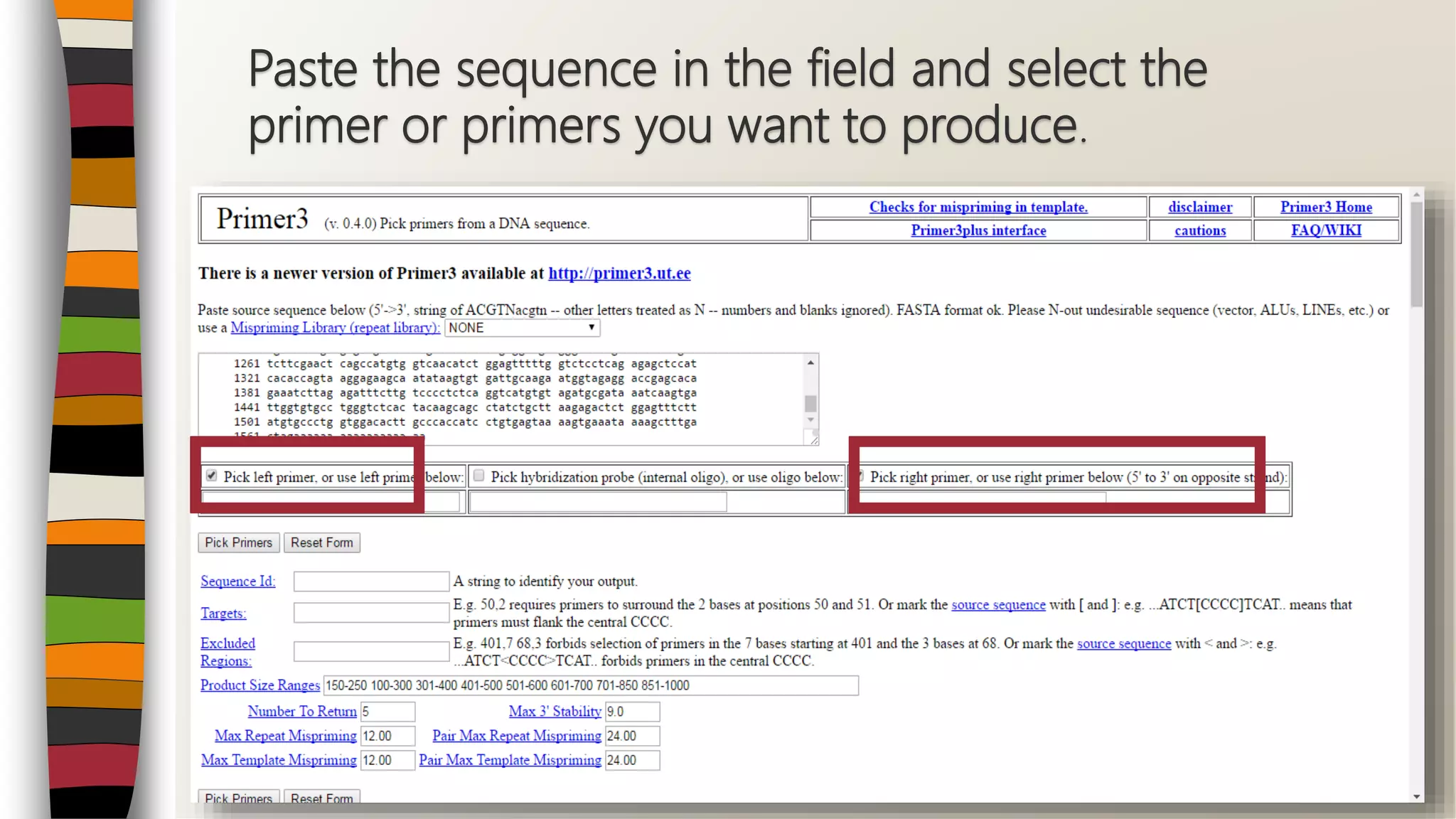 Primer designing | PPTX