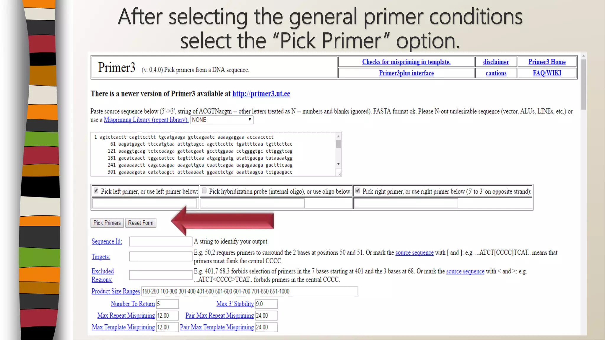Primer designing | PPTX | Chemistry | Science