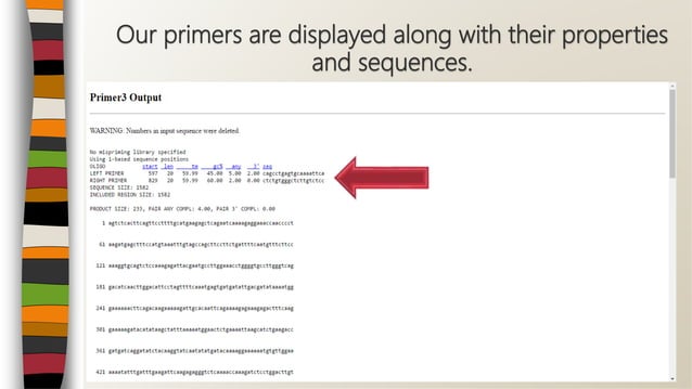 Primer designing | PPTX | Chemistry | Science
