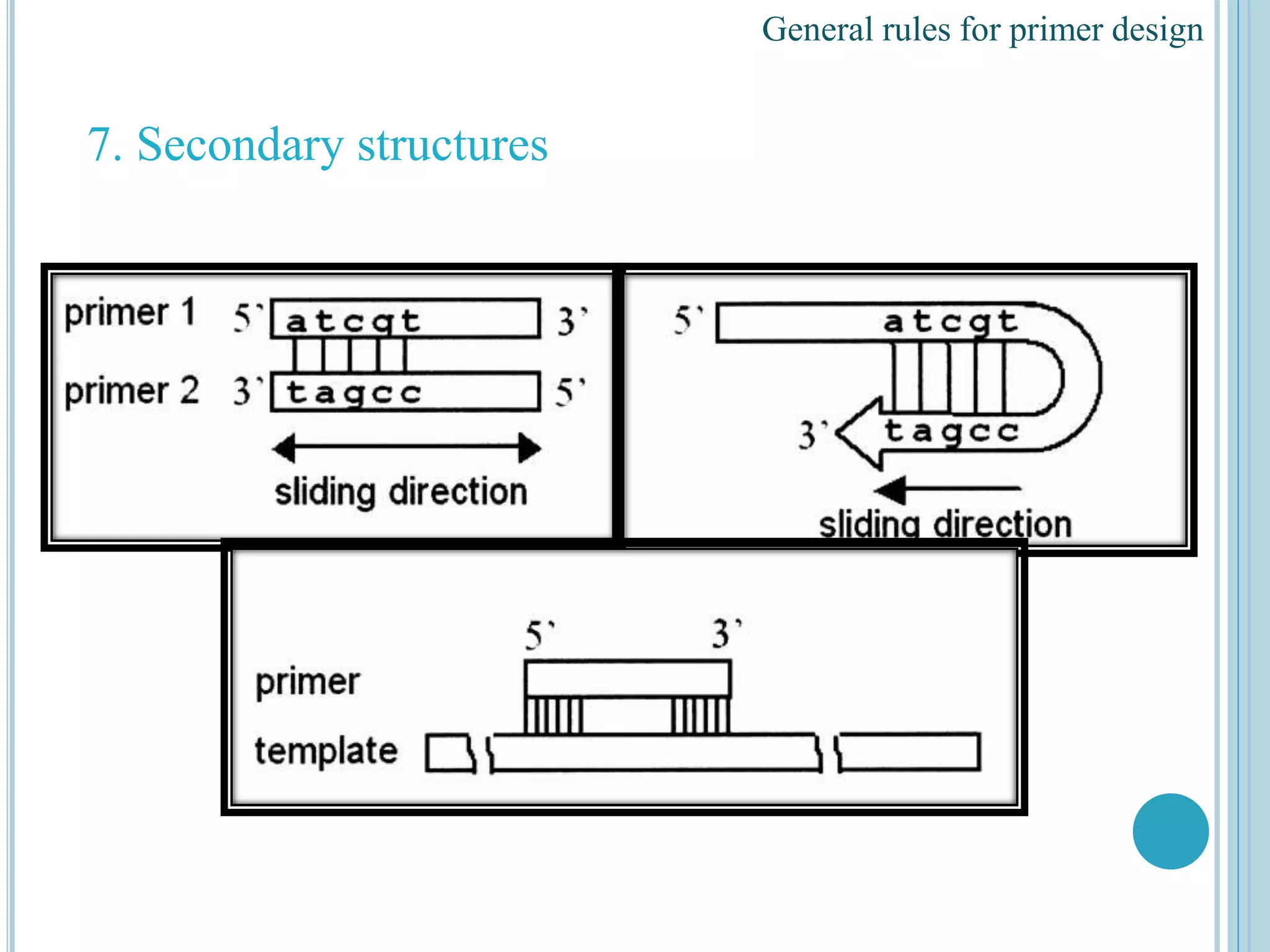 Primer designing | PPTX