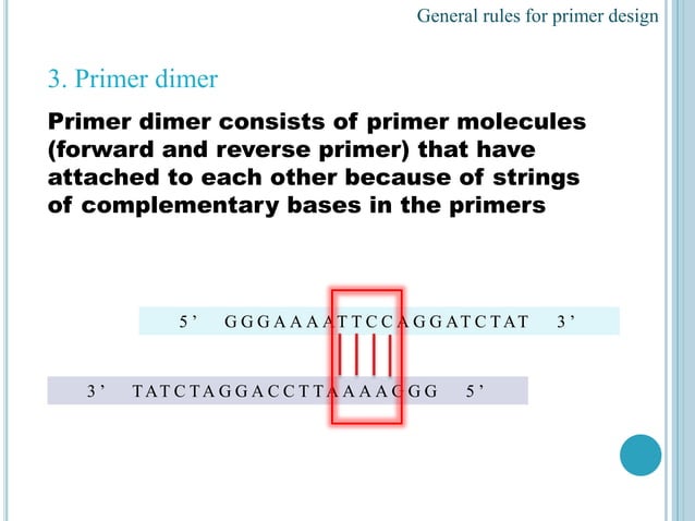 Primer designing | PPTX | Chemistry | Science