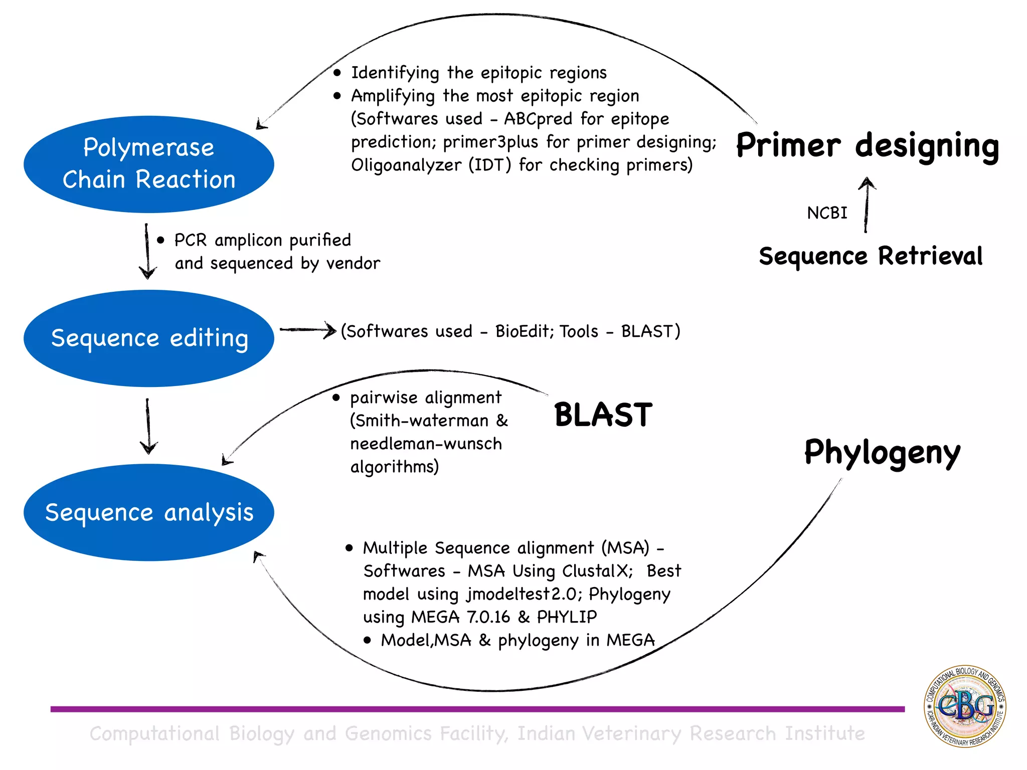 Primer designing | PDF