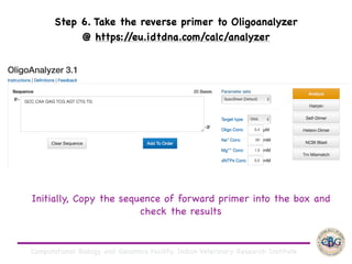 Primer designing | PDF