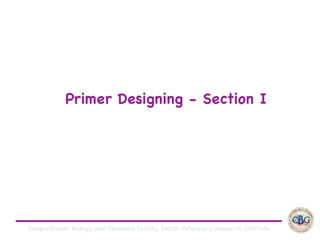 Primer designing | PDF