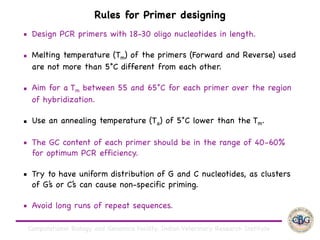 Primer designing | PDF