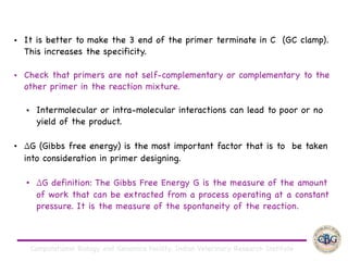 Primer designing | PDF