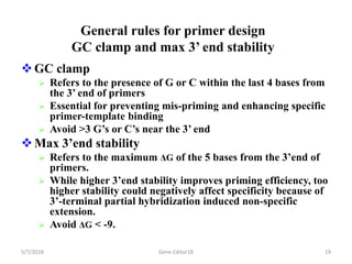 Primer Designing (General Rules) | PPTX