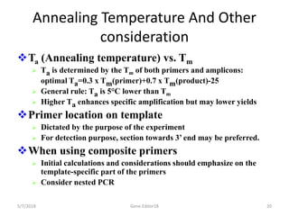 Primer Designing (General Rules) | PPTX