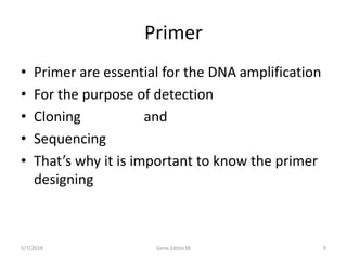 Primer Designing (General Rules) | PPTX