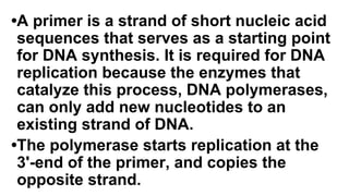 PRIMER DESIGNING RECOMBINANT DNA TECHNOLOGY Primer designing | PDF