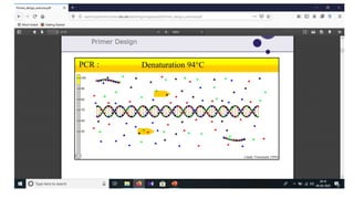 PRIMER DESIGNING RECOMBINANT DNA TECHNOLOGY Primer designing | PDF