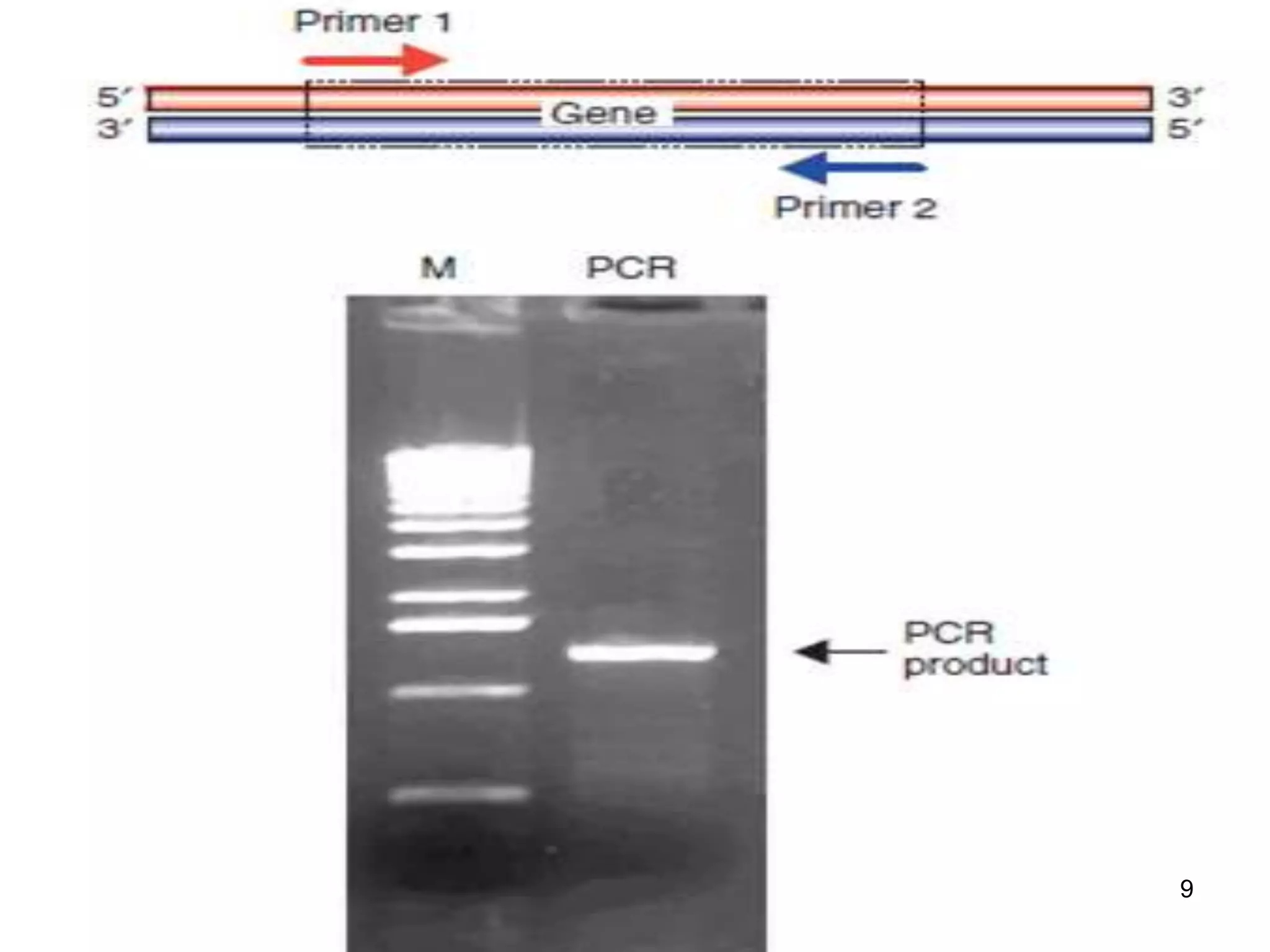 Primer Designing Event.ppt