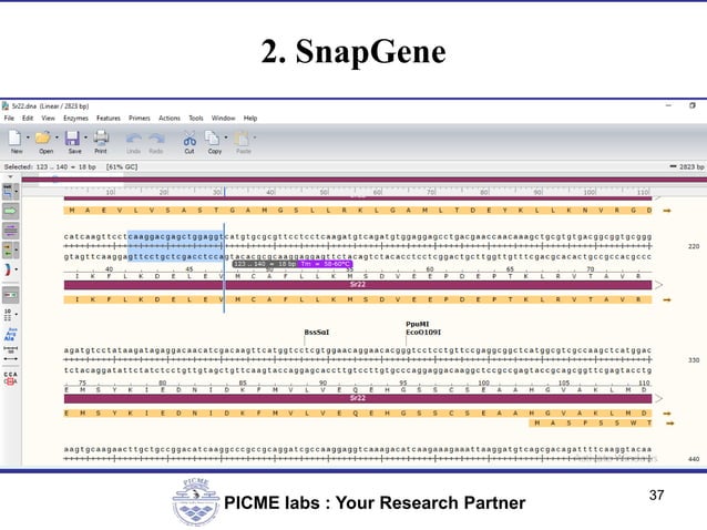 Primer Designing Event.ppt