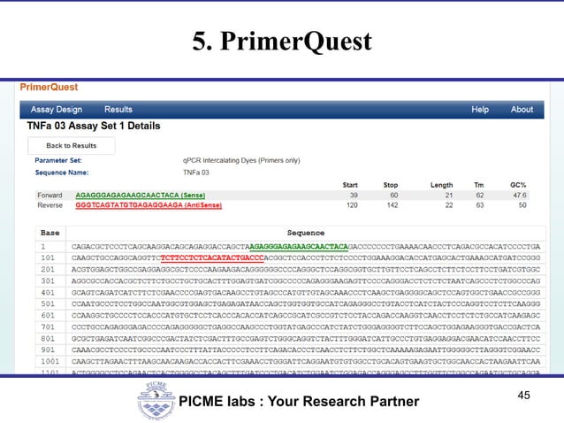 Primer Designing Event.ppt