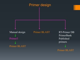 Primer designing for pcr and qpcr and their applications | PPTX