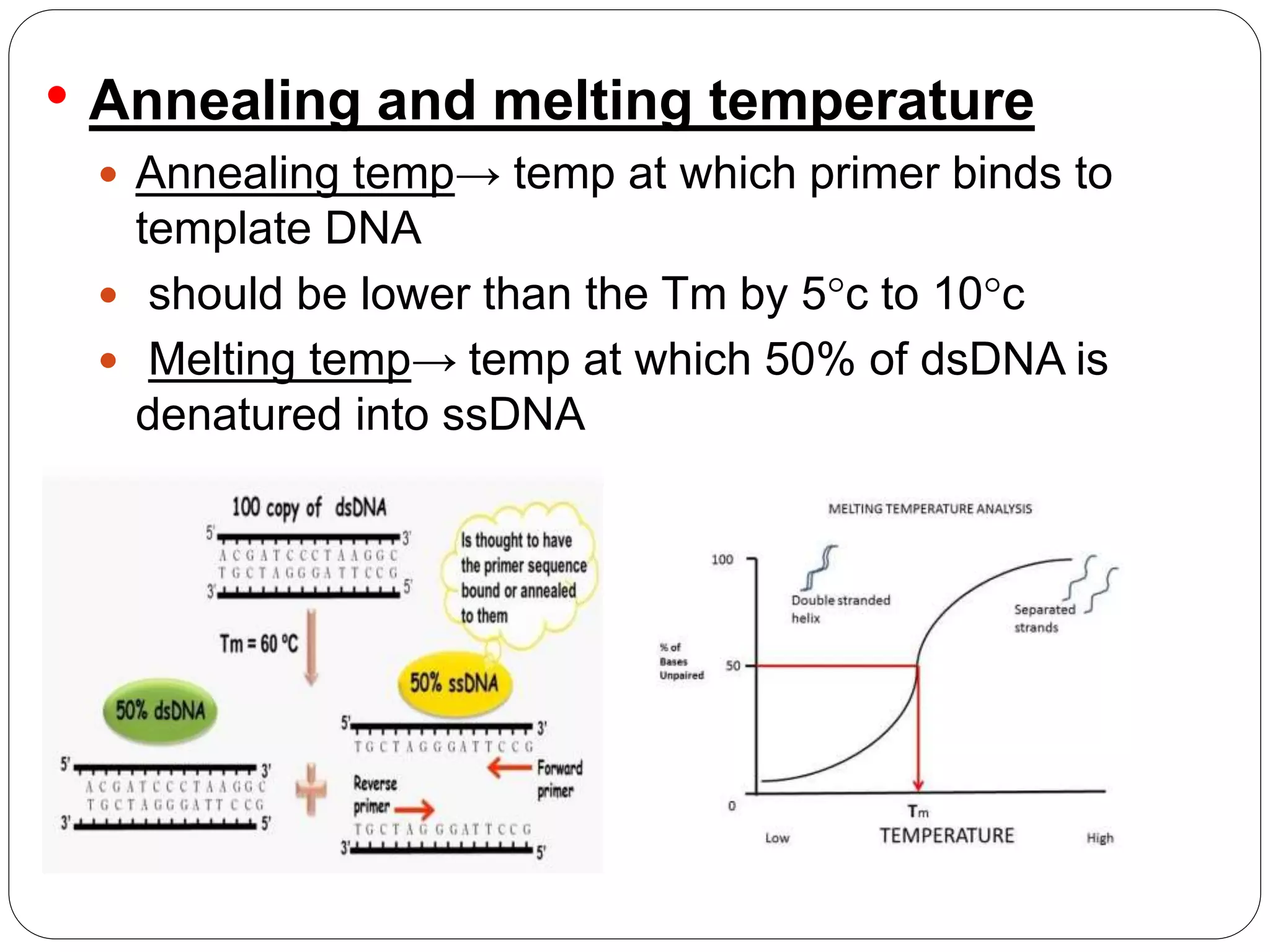 PRIMER DESIGNING IN PCR.pptx