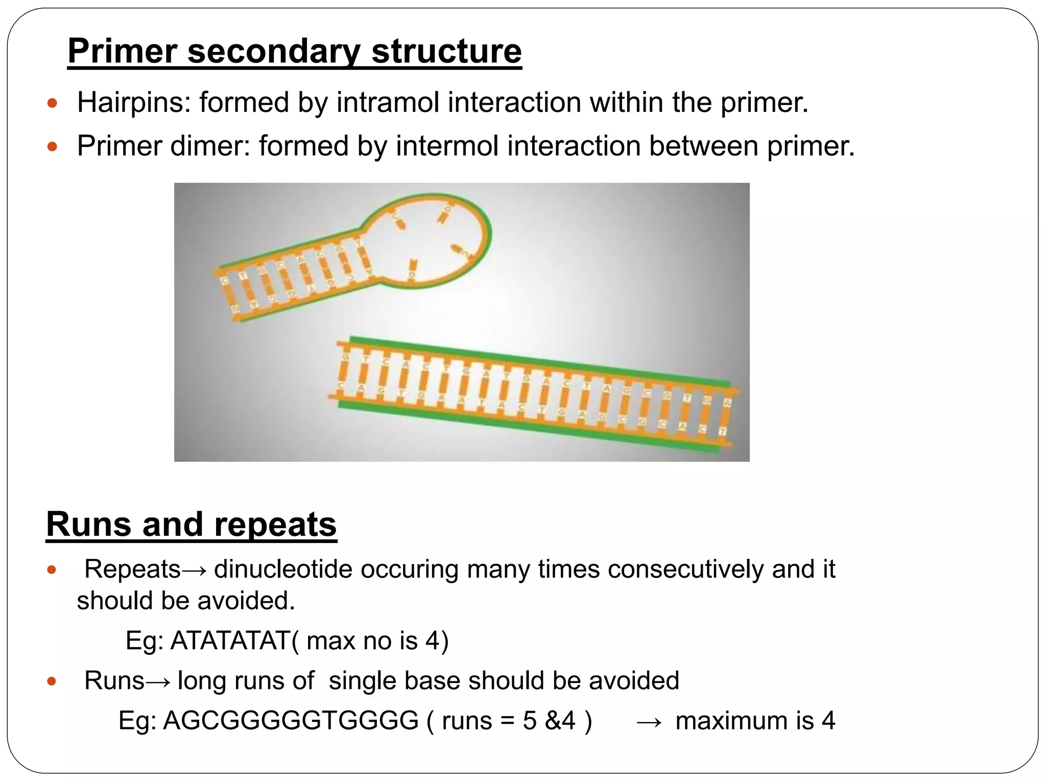 PRIMER DESIGNING IN PCR.pptx