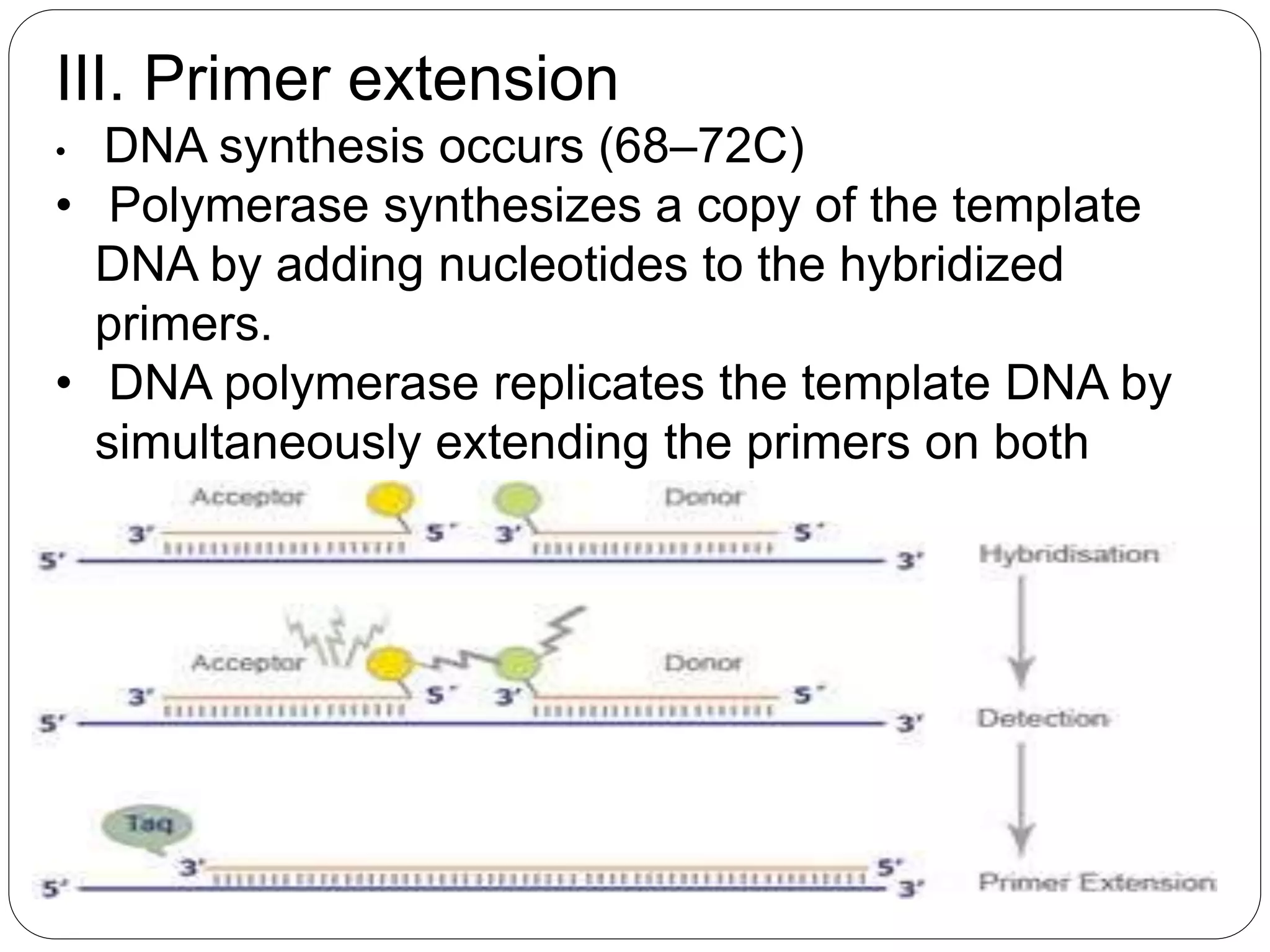 PRIMER DESIGNING IN PCR.pptx