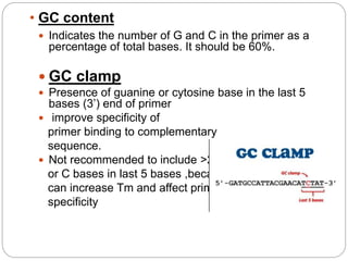 PRIMER DESIGNING IN PCR.pptx | Chemistry | Science