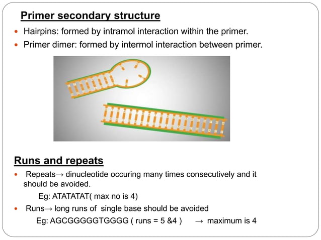 PRIMER DESIGNING IN PCR.pptx