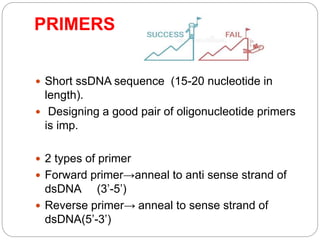 PRIMER DESIGNING IN PCR.pptx
