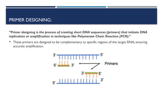 Primer Designing Using Tools of Bio-informatics.pptx